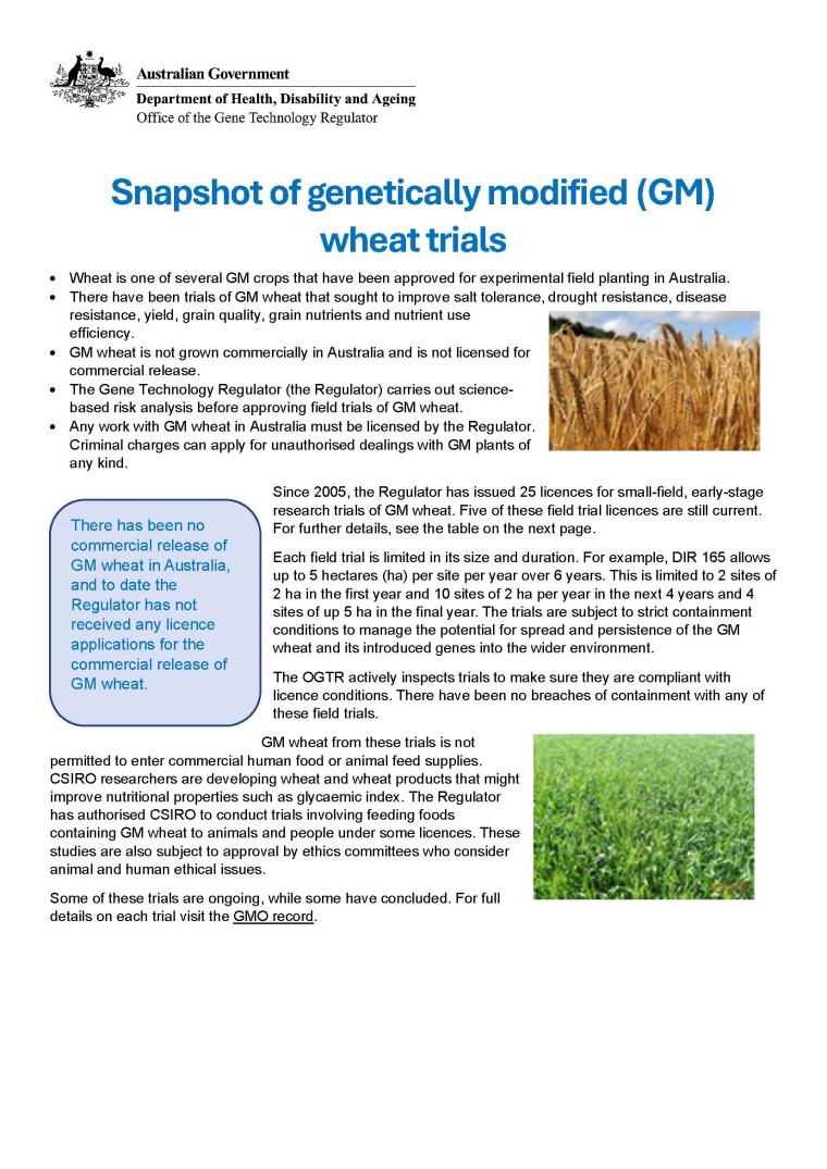 Snapshot of genetically modified (GM) wheat trials | Office of the Gene ...